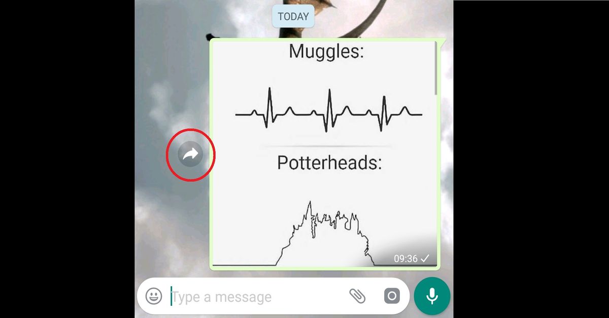 WhatsApp beta for Android gets 'Show in chat', 'Rotate' and 'Forward ...