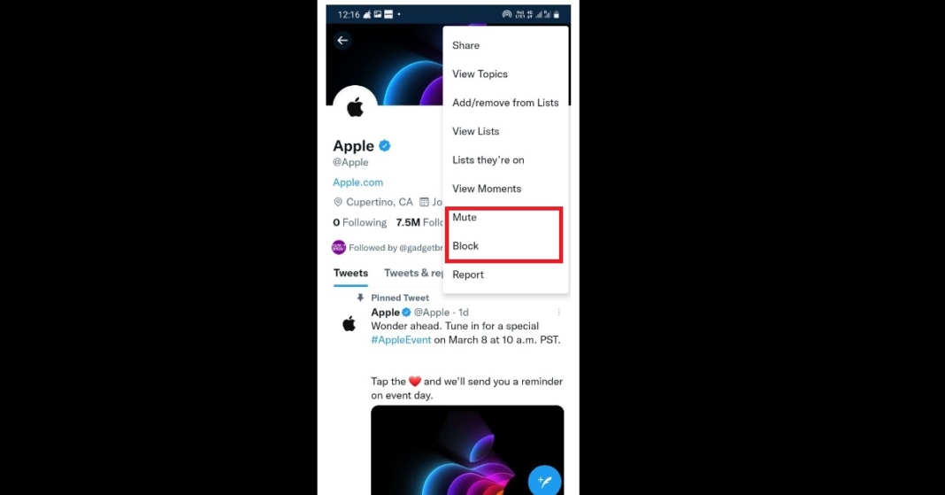 How to Block, Unblock or Mute Someone on Twitter?