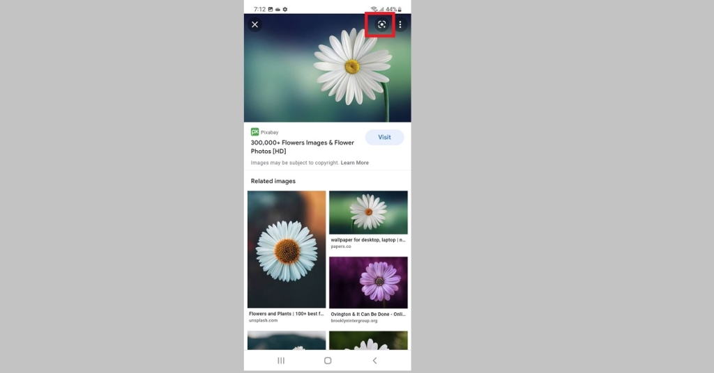 How To Google Reverse Image Search On Mobile (2022)?