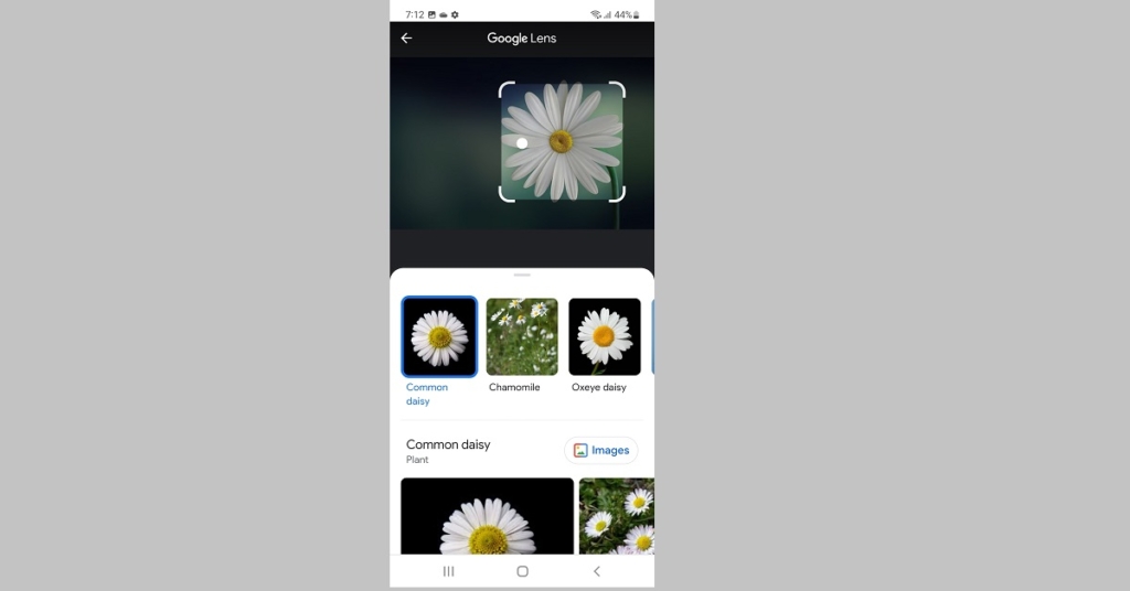 How To Google Reverse Image Search On Mobile (2022)?