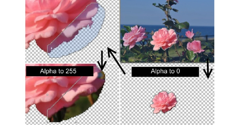 5 Essential Paint.net Plugins You Must Download in 2022