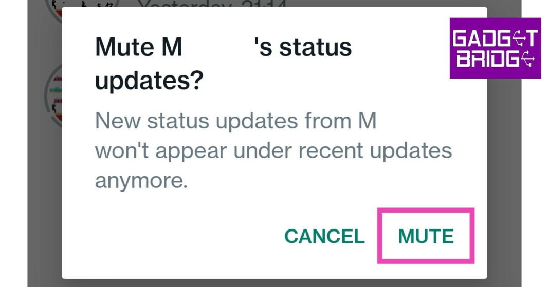 How to use WhatsApp Status like a pro: Top 10 tips and tricks