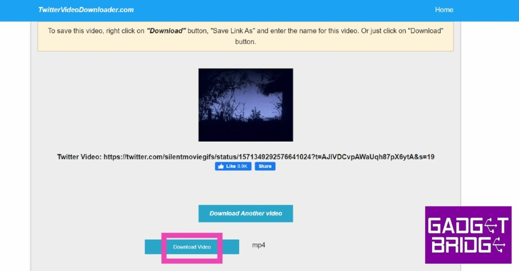 How to download any video or GIF from Twitter?