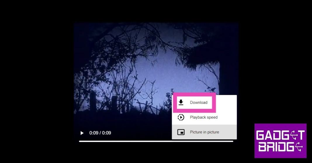 How to download any video or GIF from Twitter?