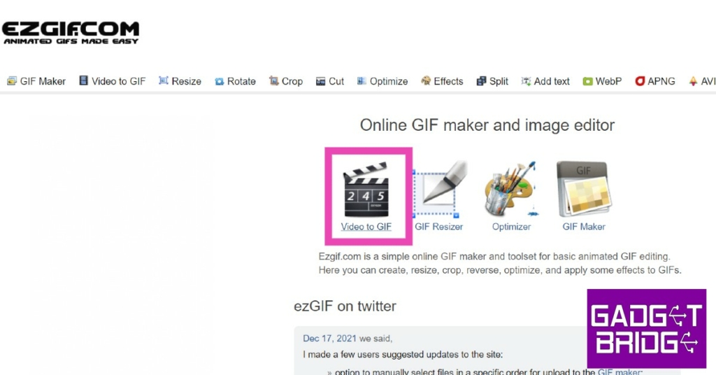 How to download any video or GIF from Twitter?