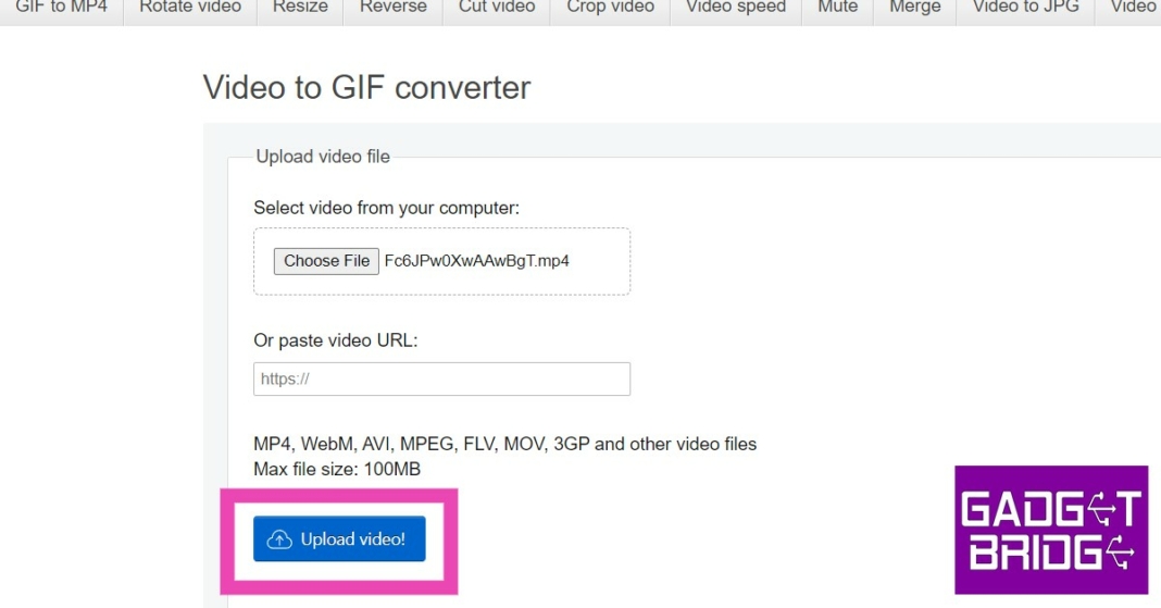 How to download any video or GIF from Twitter?