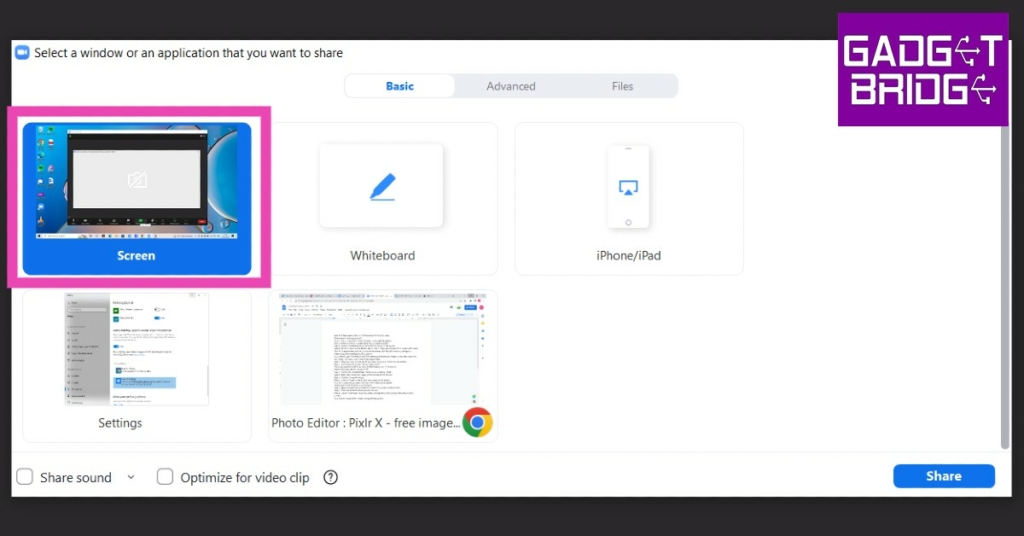 How To Share Audio in Zoom On Phone and PC? 4 Easy ways
