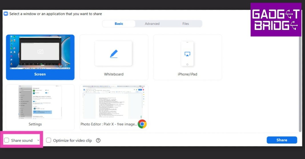 How To Share Audio in Zoom On Phone and PC? 4 Easy ways