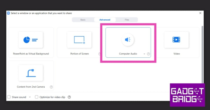 How To Share Audio in Zoom On Phone and PC? 4 Easy ways