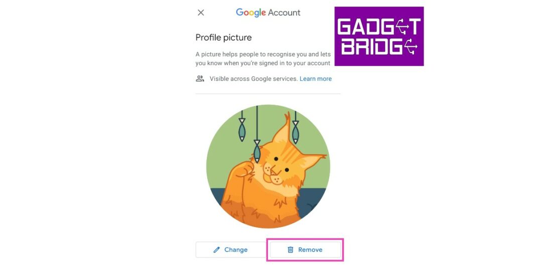 How to Remove Your Profile Picture from Google & Gmail Account?