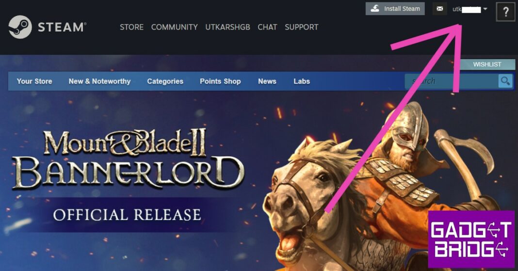 How to buy and redeem a Steam Gift Card or Wallet Code?