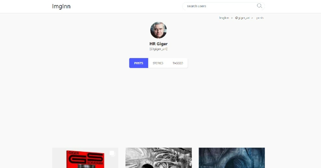 Top 4 Ways to View Instagram Posts and Stories Without an Account (2024)