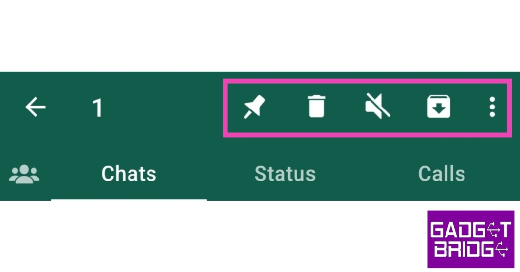 Demystified: What Does Each Icon and Symbol Mean on WhatsApp?