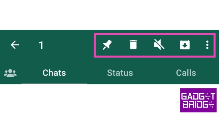 Demystified: What Does Each Icon and Symbol Mean on WhatsApp?