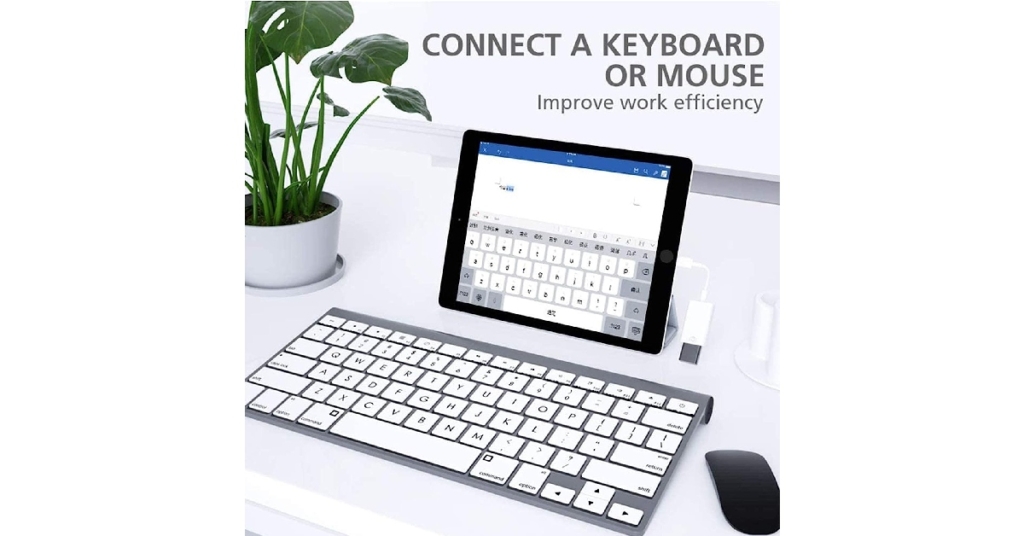 How to use OTG on iPhone and iPad?