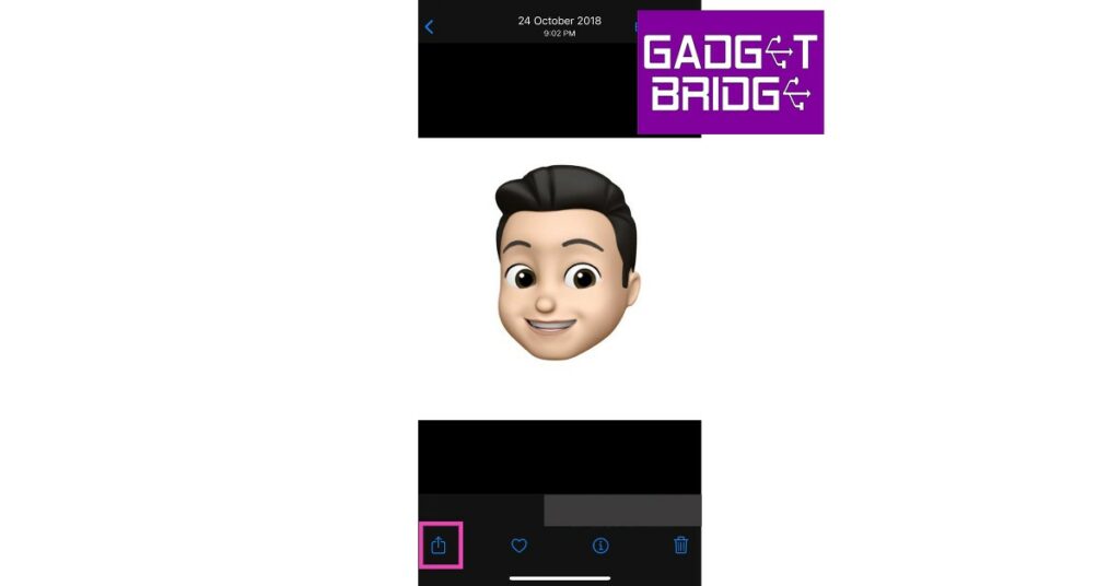 10 Best ways to Remove Photo Metadata (Windows, Mac, Android, & iOS)