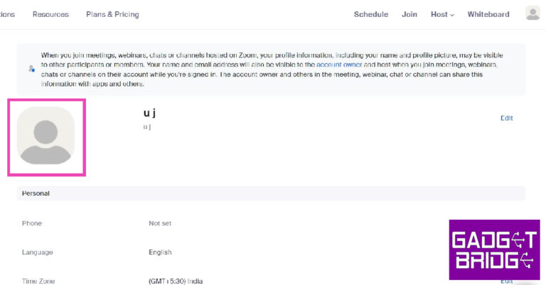 How to Display Your Profile Picture in a Zoom Meeting Instead of Video?