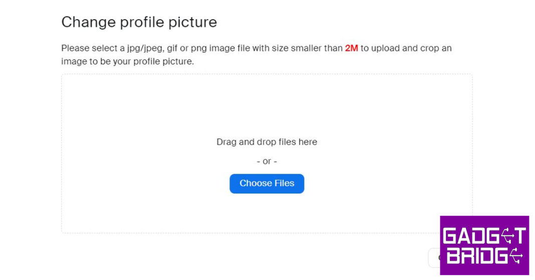 How to Display Your Profile Picture in a Zoom Meeting Instead of Video?