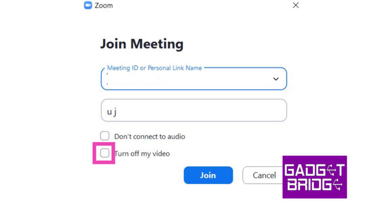 How to Display Your Profile Picture in a Zoom Meeting Instead of Video?