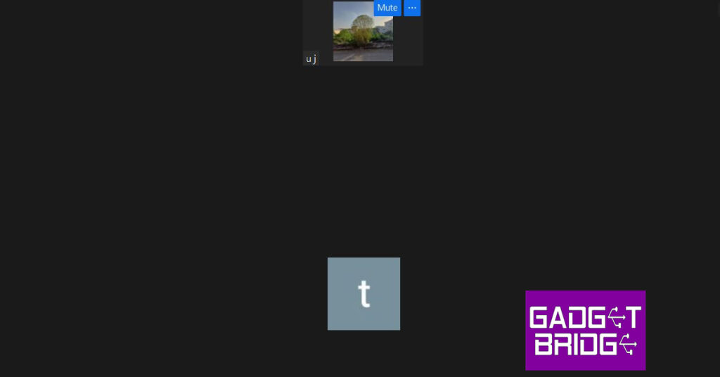 How to Display Your Profile Picture in a Zoom Meeting Instead of Video?