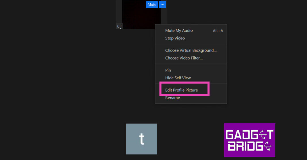 How to Display Your Profile Picture in a Zoom Meeting Instead of Video?