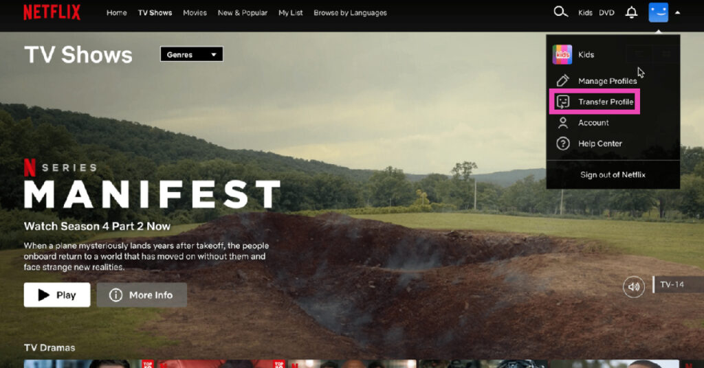How to Transfer Your Netflix Profile to Another Account?
