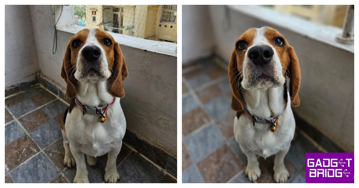 Samsung Galaxy Z Flip 5 Review: Flip it good!